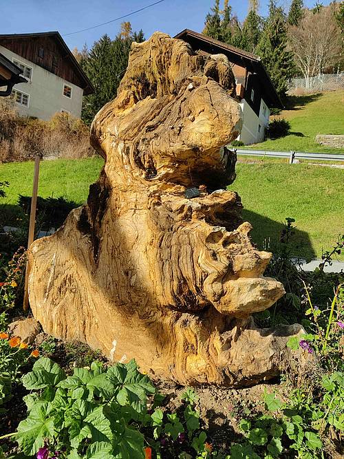 Geopark Karnische Alpen: Startseite